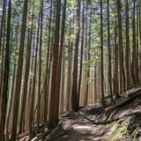 Mount Constitution via Mountain Lake and Little Summit Loop, Washington ...