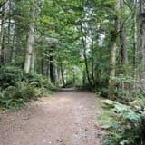 Point Defiance Park Outer Loop, Washington - 4,889 Reviews, Map | AllTrails