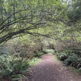 Point Defiance Park Outer Loop, Washington - 4,889 Reviews, Map | AllTrails