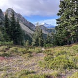 High Pass Trail, Washington - 147 Reviews, Map | AllTrails