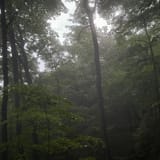 Tinker Cliffs via Andy Layne Trail, Virginia - 1,915 Reviews, Map ...