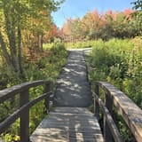 Cascade Springs Interpretive Trail, Utah - 531 Reviews, Map | AllTrails