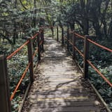 Eoseungsaengak Trail, Jeju-do, South Korea - 81 Reviews, Map | AllTrails