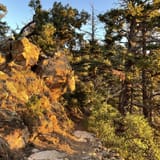Cheyenne Mountain via Talon and Dixon Trail, Colorado - 819 Reviews ...