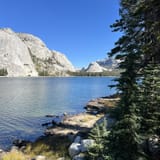 Tenaya Lake Trail, California - 558 Reviews, Map | AllTrails