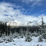 Bow Summit Viewpoint, Alberta, Canada - 1,229 Reviews, Map | AllTrails