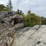 Pole Steeple Trail, Pennsylvania - 997 Reviews, Map | AllTrails
