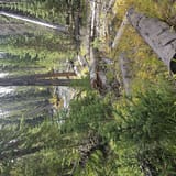 The Thorofare and South Boundary Trail, Montana - 45 Reviews, Map ...