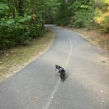 KSU Walking Path, Georgia - 61 Reviews, Map | AllTrails