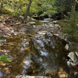 Plattekill Falls, New York - 521 Reviews, Map | AllTrails