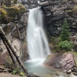 Sun Point Nature Trail, Montana - 418 Reviews, Map | AllTrails