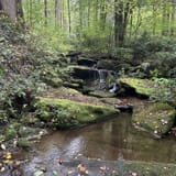 John Rock Trail Loop, North Carolina - 2,770 Reviews, Map | AllTrails