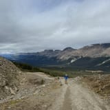 Bow Summit Viewpoint, Alberta, Canada - 1,229 Reviews, Map | AllTrails