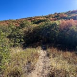 Big Beacon Mount Wire Trail, Utah - 1,574 Reviews, Map | AllTrails