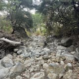 Homestead to Blue Ridge Loop, California - 3,256 Reviews, Map | AllTrails