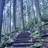 Grouse Grind Trail, British Columbia, Canada - 8,362 Reviews, Map ...