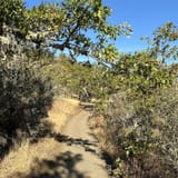 Upper Table Rock Trail, Oregon - 1,810 Reviews, Map | AllTrails