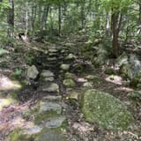 Liberty Trail and Brook Trail Loop to Mount Chocorua, New Hampshire ...
