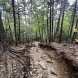 Liberty Trail and Brook Trail Loop to Mount Chocorua, New Hampshire ...