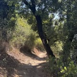 Cold Spring Loop, California - 2,548 Reviews, Map | AllTrails