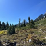String Lake Trail, Wyoming - 2,602 Reviews, Map | AllTrails