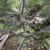 See Spring Trail, Arizona - 967 Reviews, Map | AllTrails