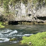 Welch Spring Trail, Missouri - 111 Reviews, Map | AllTrails