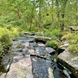 Stepstone Falls via Ben Utter Trail, Rhode Island - 1,650 Reviews, Map ...