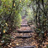 Buck Spring Trail, North Carolina - 805 Reviews, Map | AllTrails