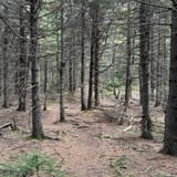 Mount Ascutney via Weathersfield Trail, Vermont - 1,567 Reviews, Map ...