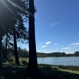 Cranberry Lake Trail, Washington - 165 Reviews, Map | AllTrails