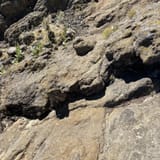Menan Butte Trail, Idaho - 1,091 Reviews, Map | AllTrails