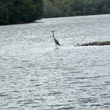 Core Creek Park Trail, Pennsylvania - 1,660 Reviews, Map | AllTrails