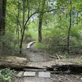 Core Creek Park Trail, Pennsylvania - 1,660 Reviews, Map | AllTrails