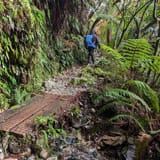 Lake Marian Track, Southland, New Zealand - 1,055 Reviews, Map | AllTrails