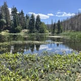 Red Lake Trail, Utah - 292 Reviews, Map | AllTrails