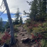 Mount Rose Trail, Washington - 1,383 Reviews, Map | AllTrails