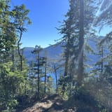 Mount Rose Trail, Washington - 1,387 Reviews, Map | AllTrails
