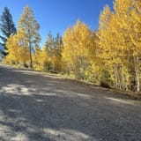 Meadow Loop and Ridge Trail, Colorado - 4,673 Reviews, Map | AllTrails