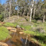 Wungong Gorge Walk, Western Australia, Australia - 711 Reviews, Map ...