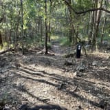 Mount Ninderry Trail, Queensland, Australia - 626 Reviews, Map | AllTrails
