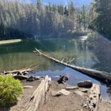 Barney Lake Trail, California - 1,321 Reviews, Map | AllTrails