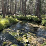 Barney Lake Trail, California - 1,317 Reviews, Map | AllTrails