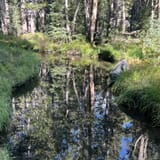 Barney Lake Trail, California - 1,317 Reviews, Map | AllTrails