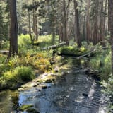 Barney Lake Trail, California - 1,317 Reviews, Map | AllTrails