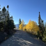 Meadow Loop and Ridge Trail, Colorado - 4,665 Reviews, Map | AllTrails