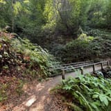 Bill's Trail to Mount Barnabe Peak Loop, California - 595 Reviews, Map ...