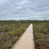 Orono Bog Boardwalk [CLOSED], Maine - 876 Reviews, Map | AllTrails