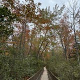 Orono Bog Boardwalk [CLOSED], Maine - 876 Reviews, Map | AllTrails