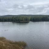 Lower Hadlock Pond Loop Trail, Maine - 618 Reviews, Map | AllTrails